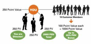 Complete Shaklee Review: Unveiling the Truth Behind the MLM - Smart ...